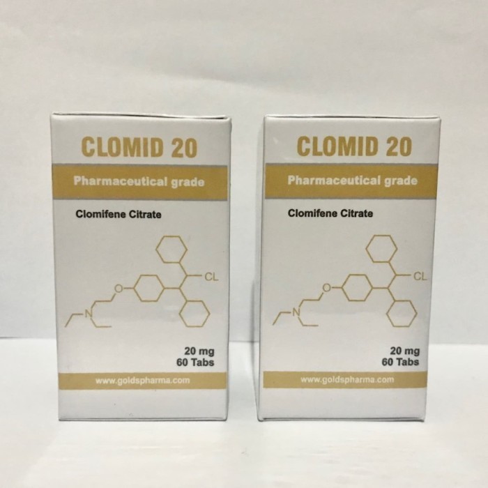 Clomid Golds Pharma 20mg X 60 Tabs | Shopee Philippines