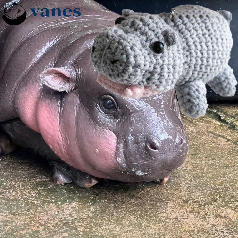 VANES Angry Baby Hippo Doll, The Bouncy Pig Simulation Knit Moo Deng ...