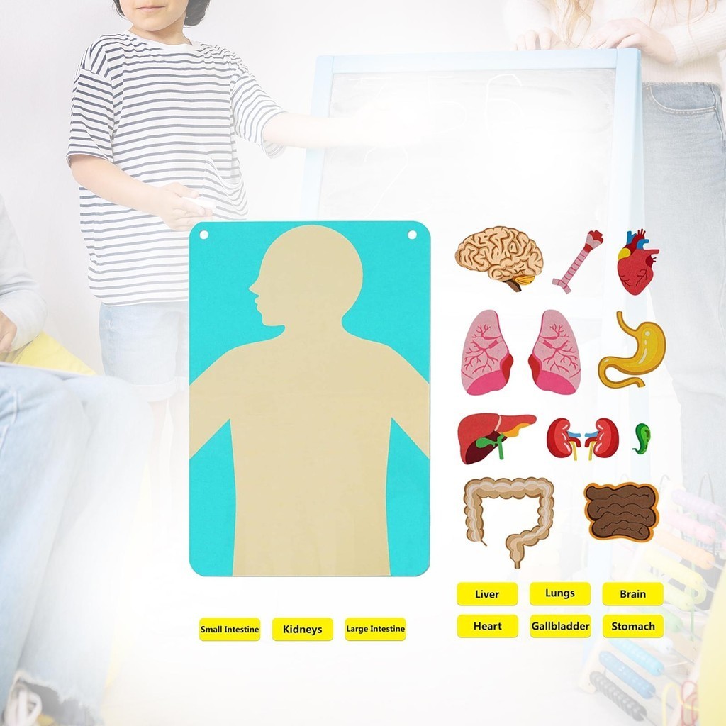 [xbutjhz] Teaching Body Parts Board Body Structure Puzzle Kids Sensory ...