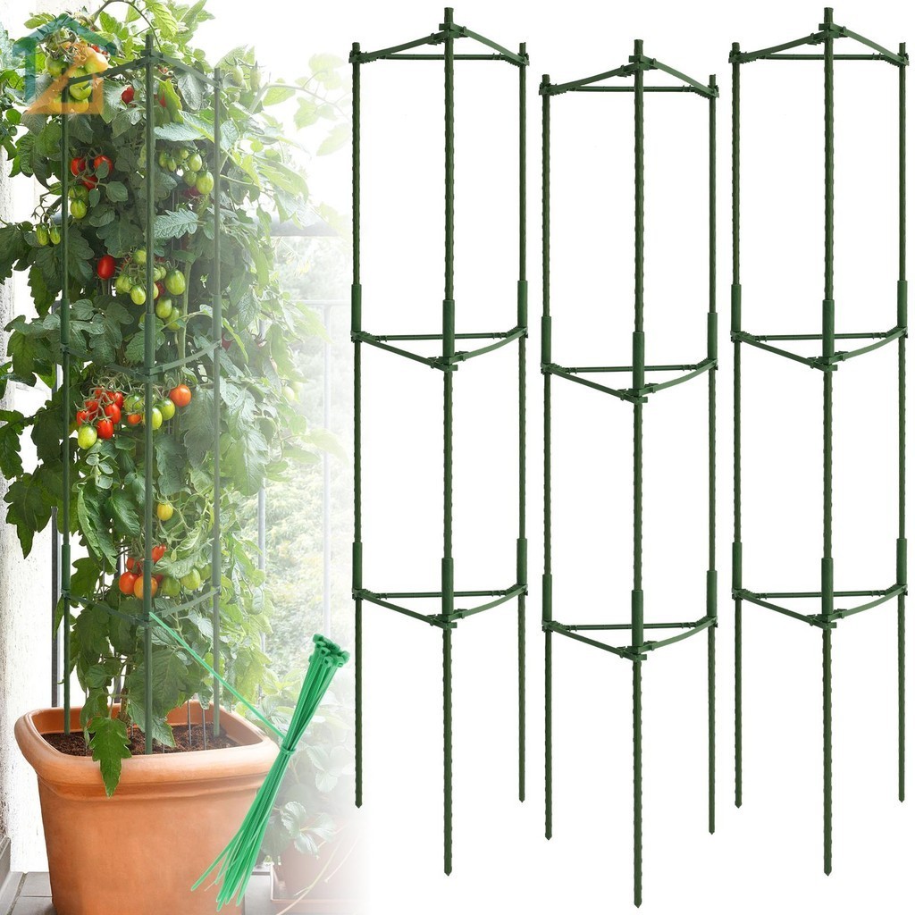 Tomato Cage Tomatoes Trellis Assembled Tomato Plant Cage Garden ...