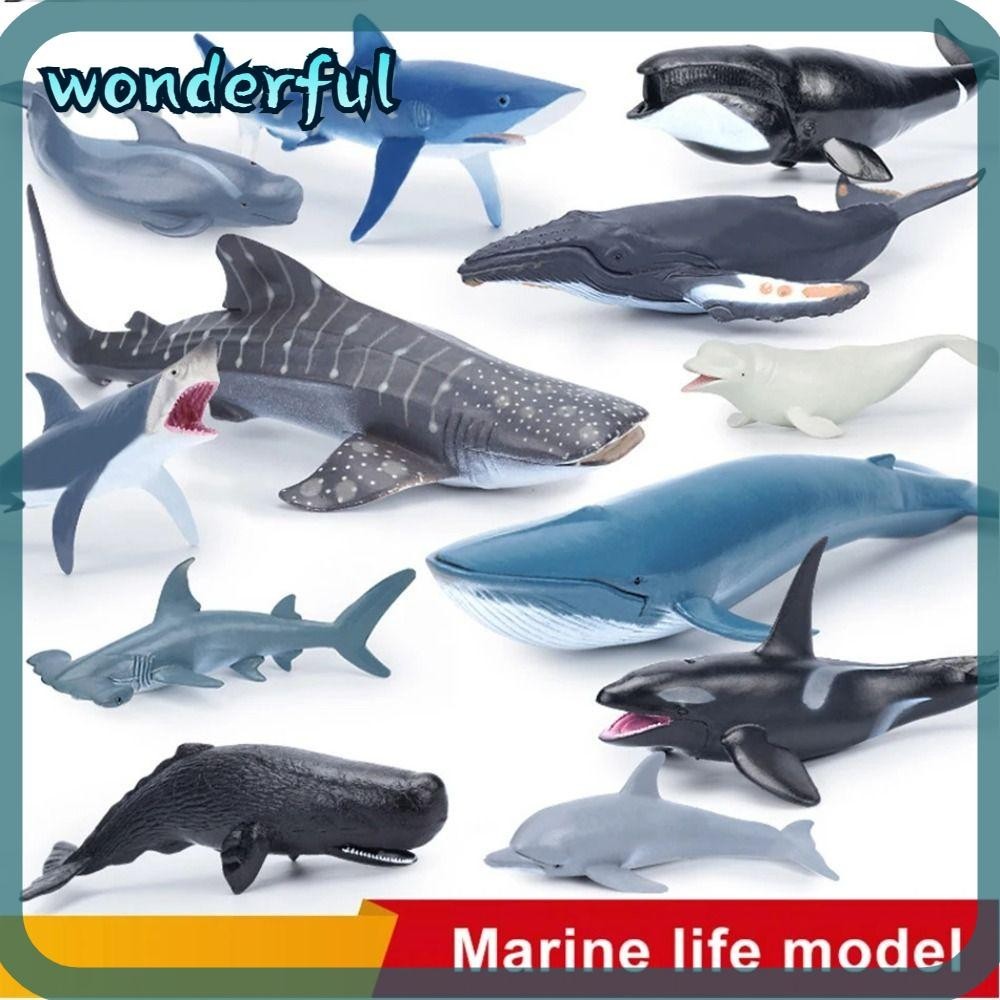WONDER Simulation Sea Life, Shark Cachalot Marine Animals Whale ...