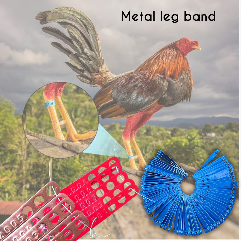 LEG BAND COLORED ALUMINUM Random color and number only for chicken game ...