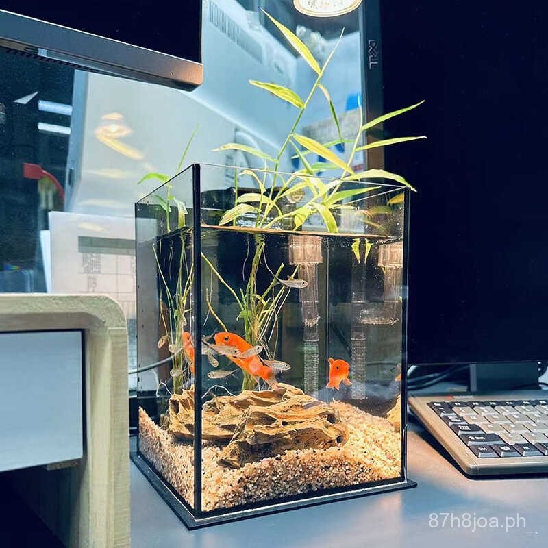 Ultra White Micro Landscape Ecological Grass Tank Desktop Creative Tank ...