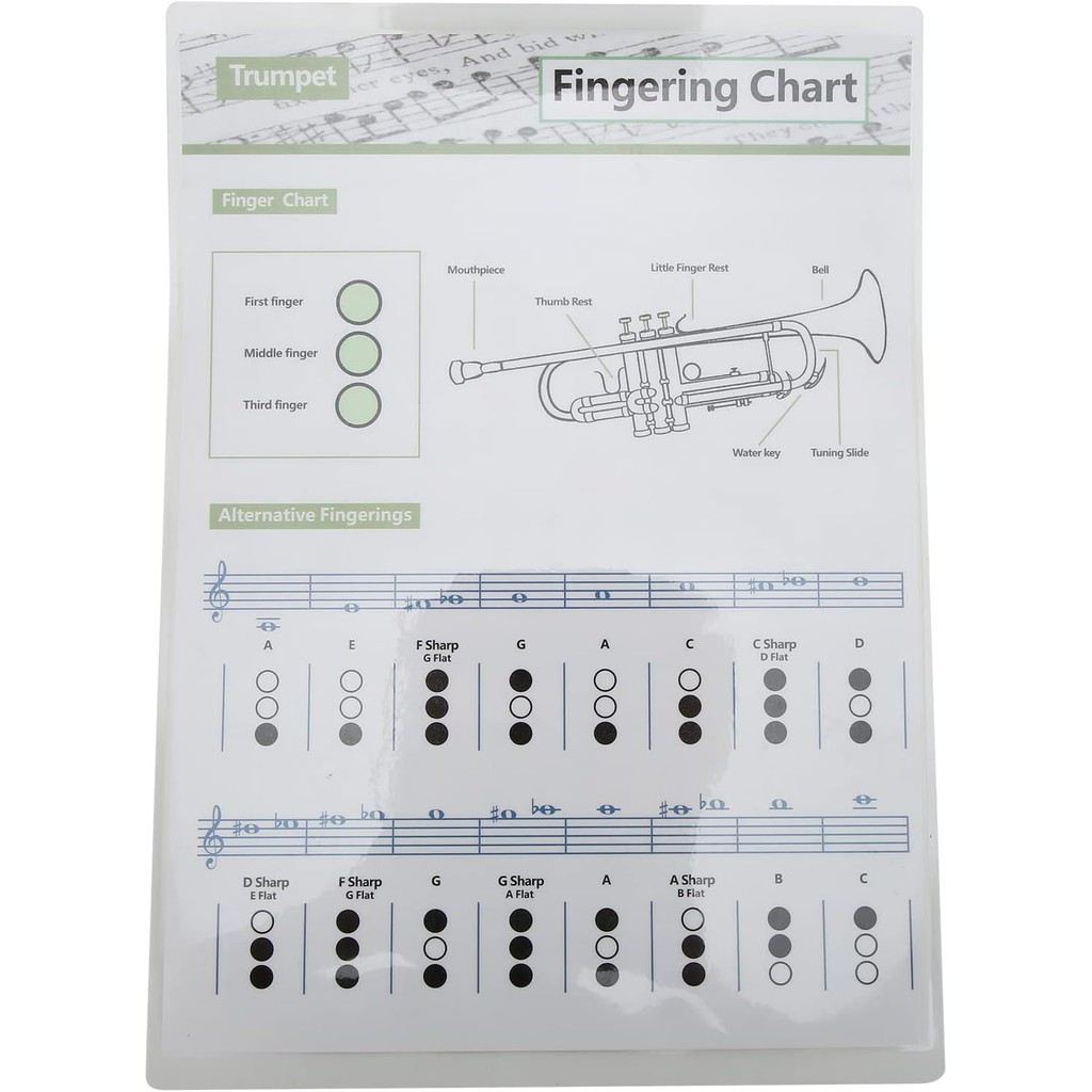 Trumpet Chord Chart Chords Reference Poster Scales Reference Fingering ...