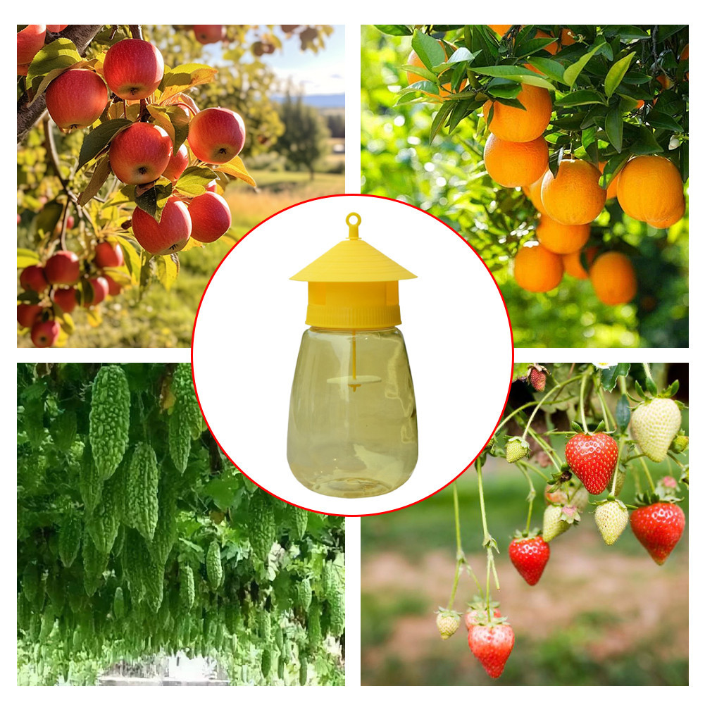 Fruit Fly Trap Killer Drosophila Trap with Hanging Hole for Outdoor ...