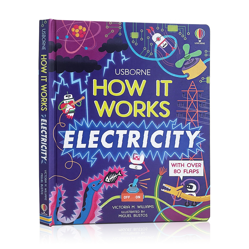 Usborne How It Works ELECTRICITY 3D Flap Picture Book Montessori ...