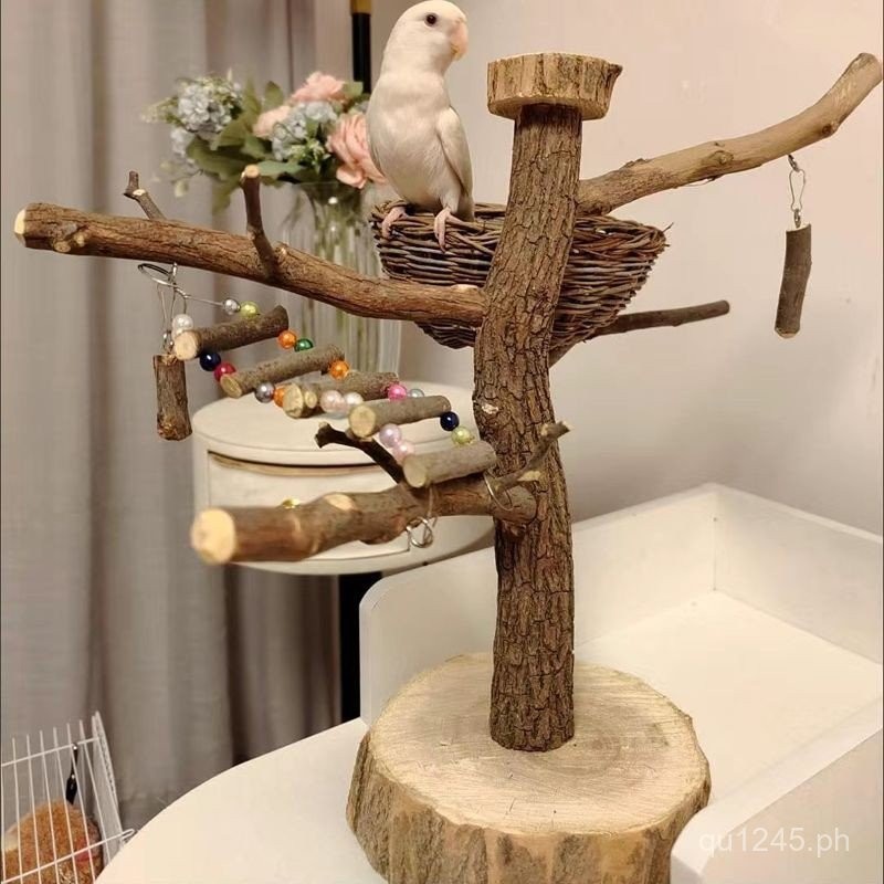 Natural Wood Climbing Frame Stand for Cockatiels, Cockatoos, Training ...