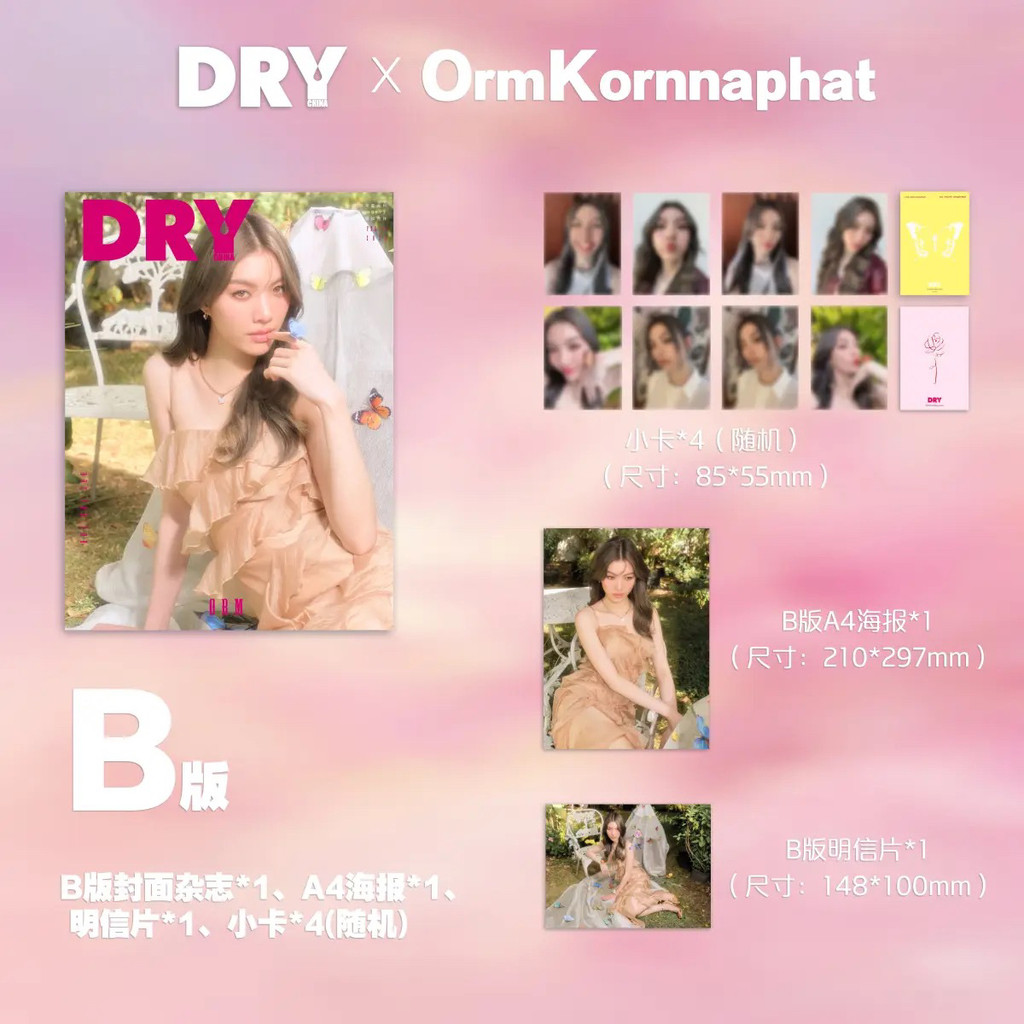 Orm Magazine DRY Valentine's Day Special Issue Brand New Genuine Poster Photocard Postcard ...