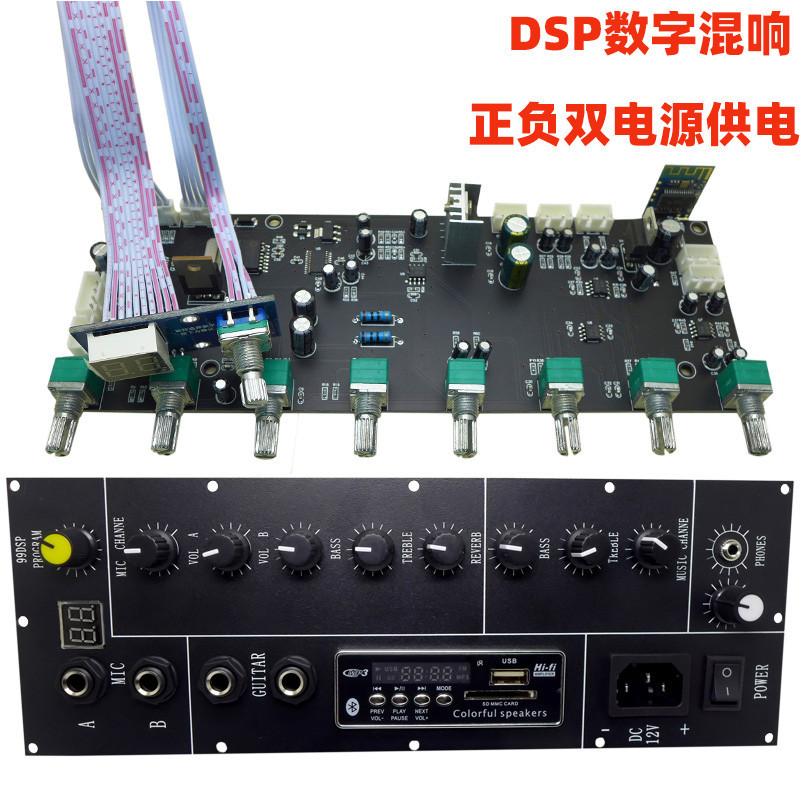 100 Effects DSP Digital Reverberation Board Karaoke Speaker Microphone ...