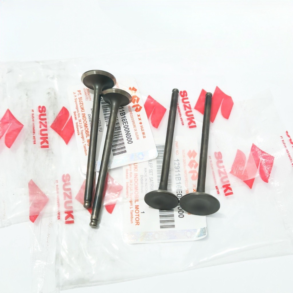 Suzuki Raider 150 – Motorcycle Engine Valves Set (2 Intake / 2 Exhaust ...