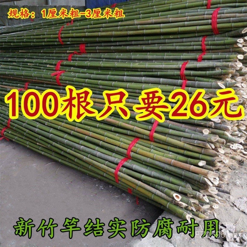 Bamboo Fence Cucumber Garden Bamboo Pole Rack Bean Trellis Outdoor ...
