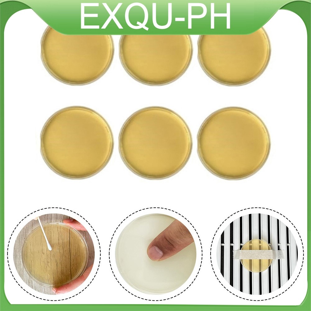 (EXQU-PH) 6 Individual Tests for Mold Test Kit Home DIY Detector HVAC ...