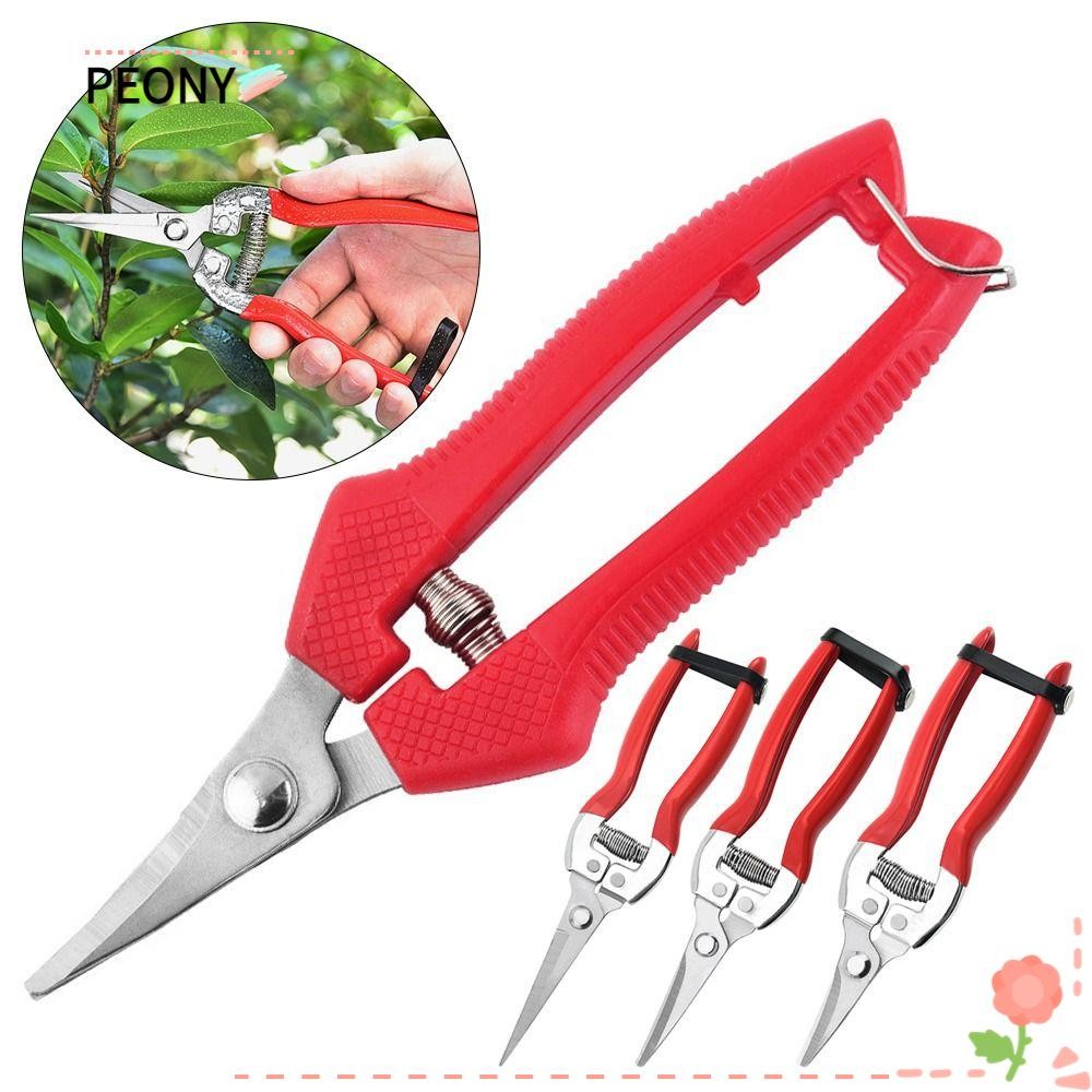 PEONY 1Pcs Tree Pruning Shear, Florist Scissor Tool Gardening Garden ...