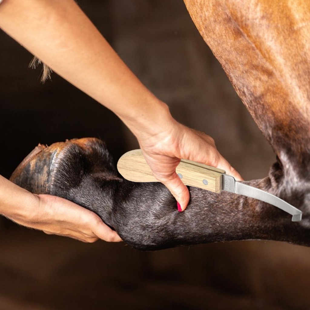 Horse Sheep Goat Cow Hooves Trimmer Sharp Edges Stainless Steel Hoof ...