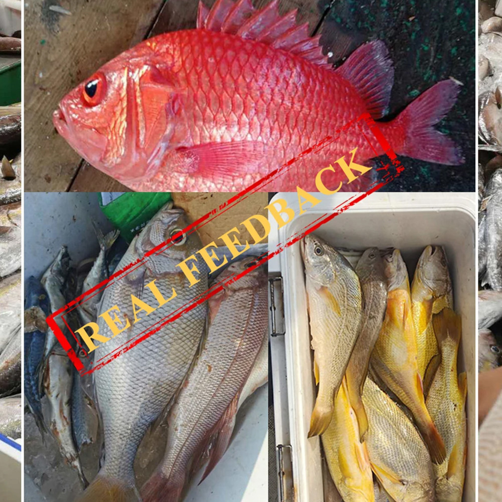 Dry Sandworms Fishing Lures Lifelike Dry Lugworm Sandworms Artificial ...