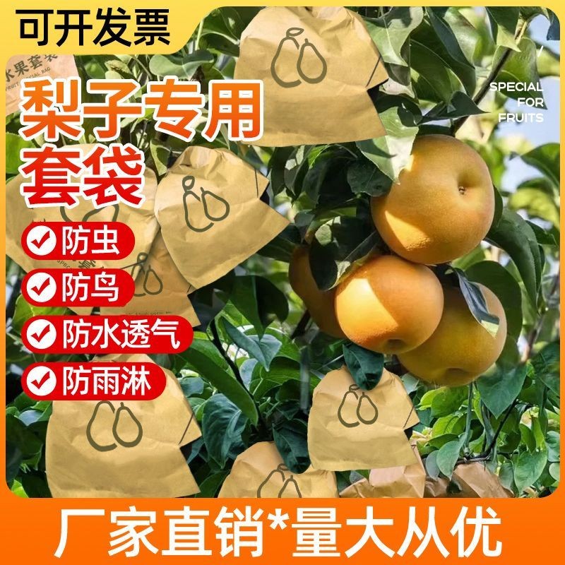 Pear Bag Special Bag Fruit Bagging Fruit Tree Insect-Proof Bird-Proof ...