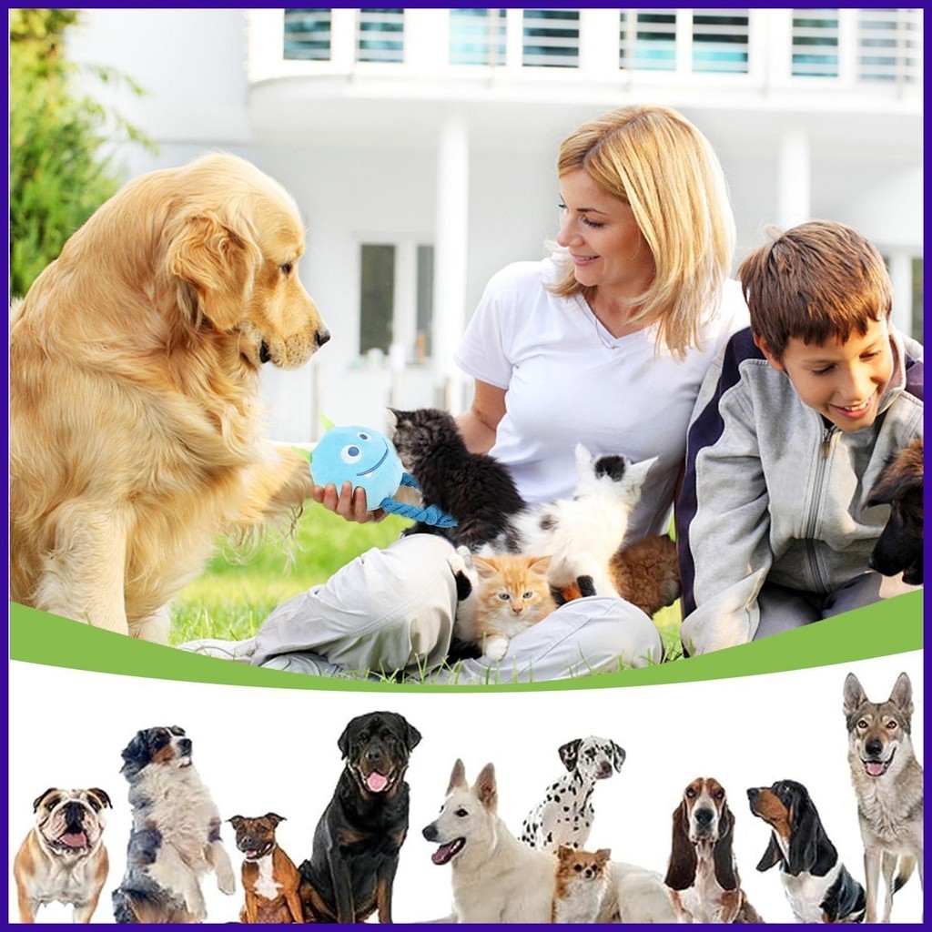 Biting Toys For Puppies Biting And Grinding Toys Interactive Squeaky ...