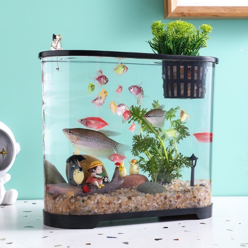 Acrylic Desktop Fish Tank Mini Aquarium HD Transparent Betta Tank Guppy ...