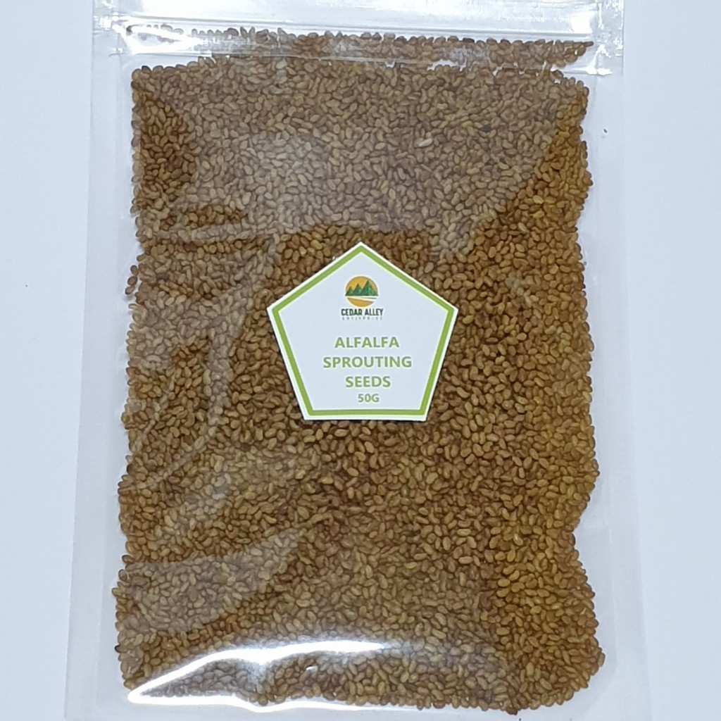 Alfalfa Sprouting Seeds 50g (Organic) | Shopee Philippines