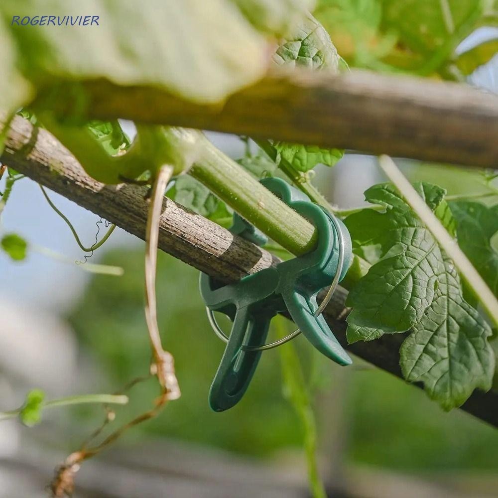 ROGERVIVIER 10pcs Garden Plant Clip, Plastic Reusable Plant Support ...
