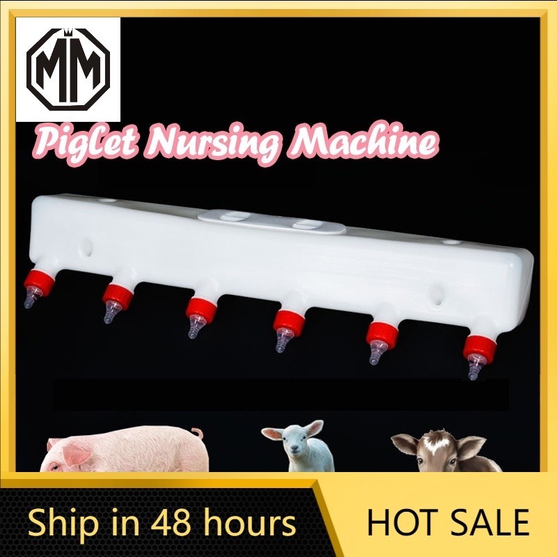 Piglet feeding device Silicone Nipple Feeder for Piglet Lamb nursing ...