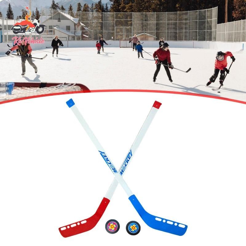 [Whstrong] Hockey Stick and Ball Set Mini Hockey Sticks Game for Party ...