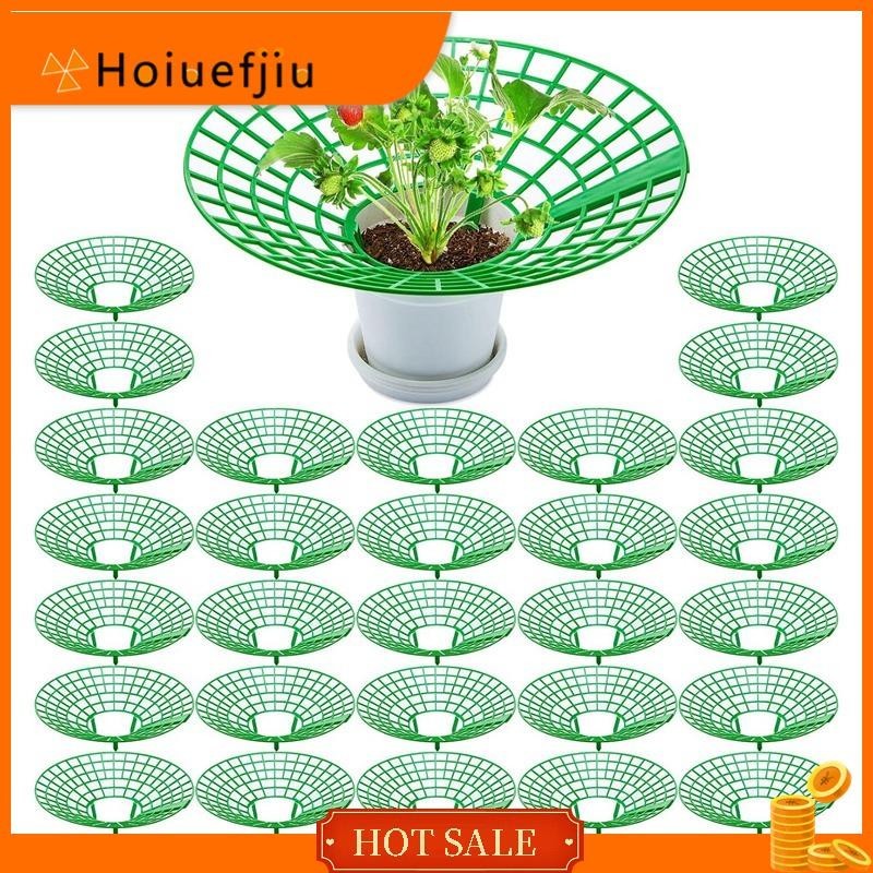 【Hoiuefjiu】Strawberry Stand Balcony Planting Rack Fruit Support Plant ...