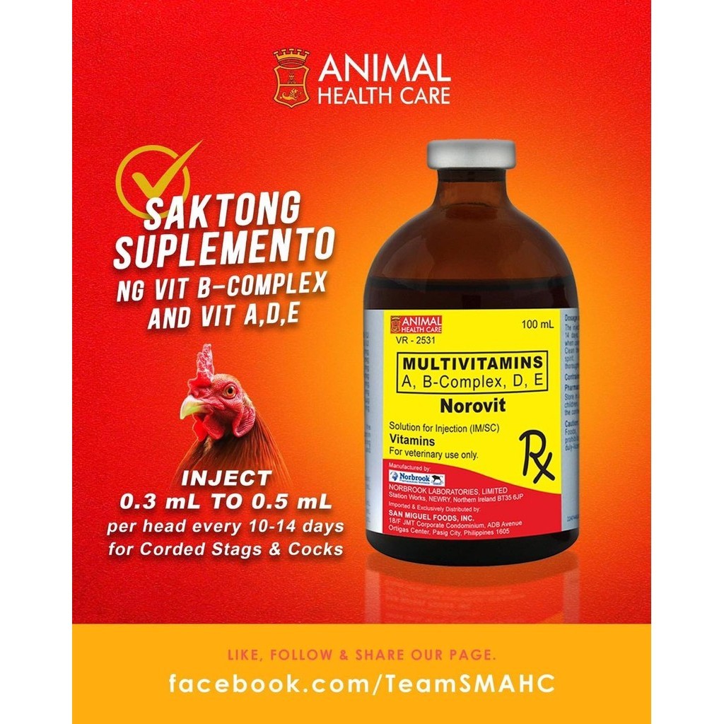Norovit Multivitamins A,B-Complex, D, E 100ml for Pig and Gamefowl ...