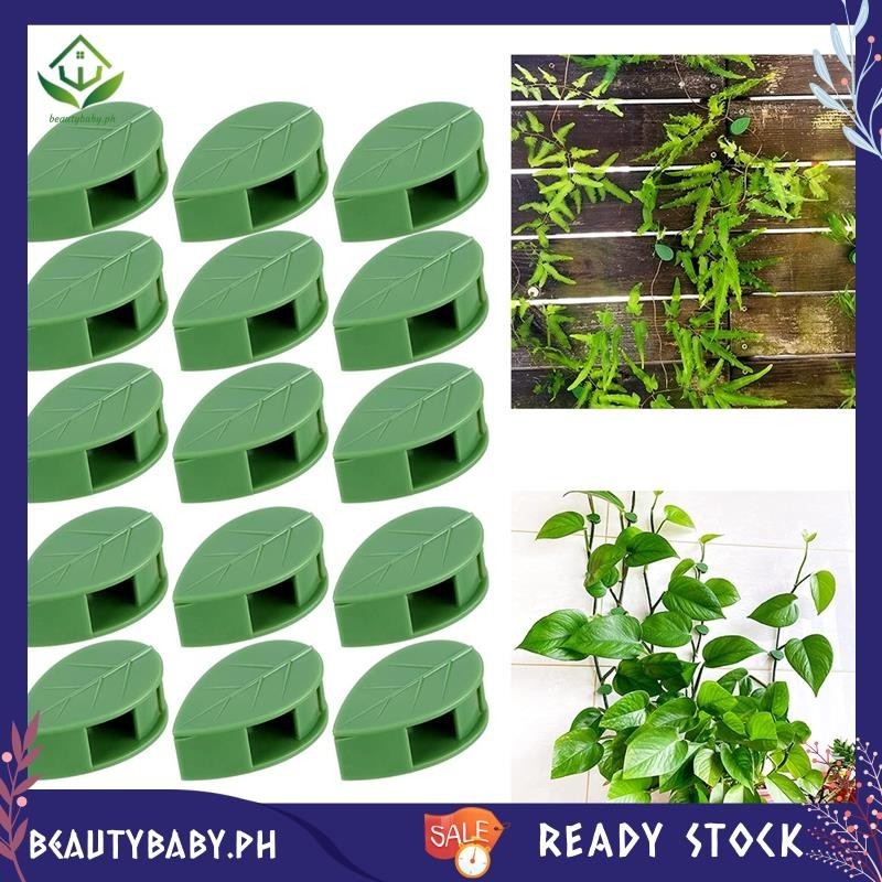 [beautybaby.ph] Plant Clips, Climbing Plants Wall Fixture Leaf Shaped ...