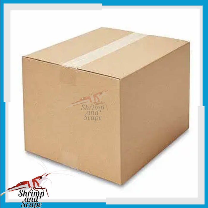 Additional Box Large Volume Delivery Delivery Upsize Cardboard Packing ...