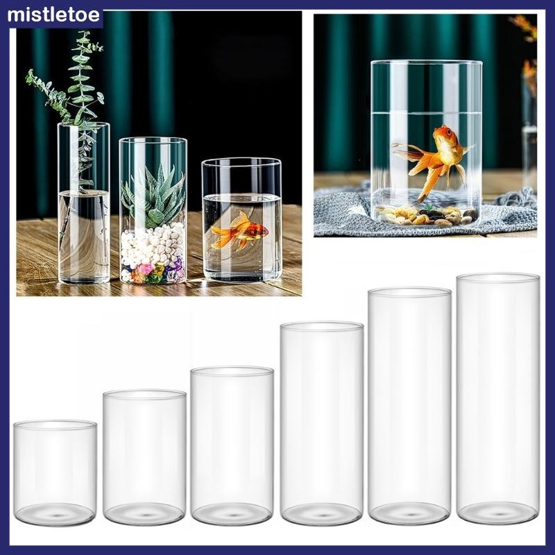 MIS Clear Glass Vase Glass Cylinders Vase Suitable for Various ...