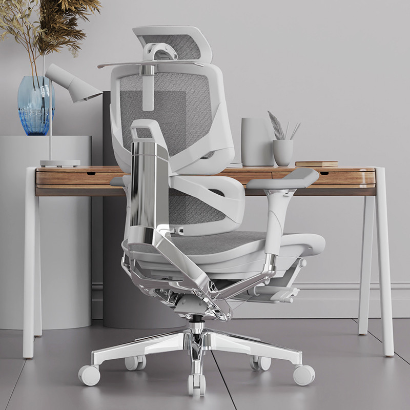 Ergomax Emperor2 PROMAX Gomax Computer Chair Ergonomic Chair Home ...