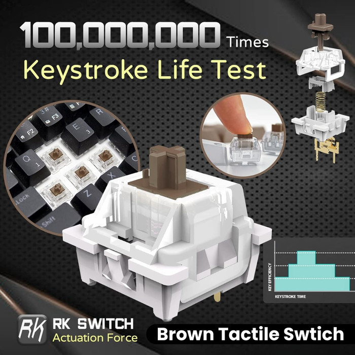 Royal Kludge RK Customized Tactile Brown Switch 3 pin Mechanical ...