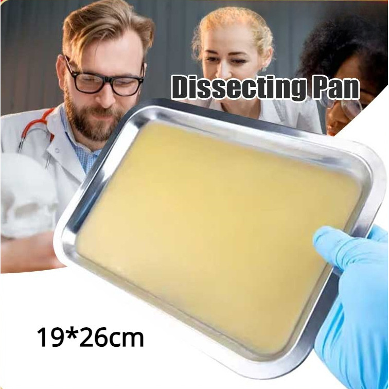 19*26cm Stainless Steel Dissecting Pan With Wax Laboratory Equipment ...