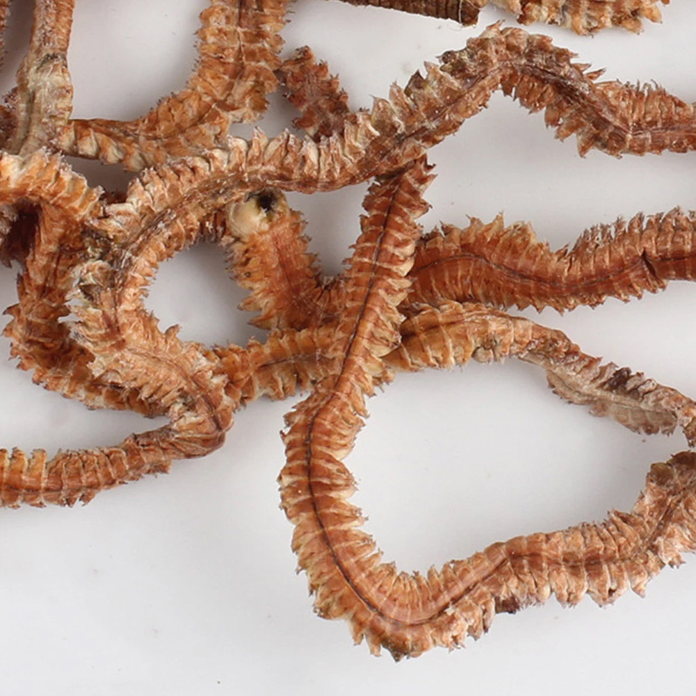 Dry Sandworms Fishing Lures Lifelike Dry Lugworm Sandworms Artificial ...