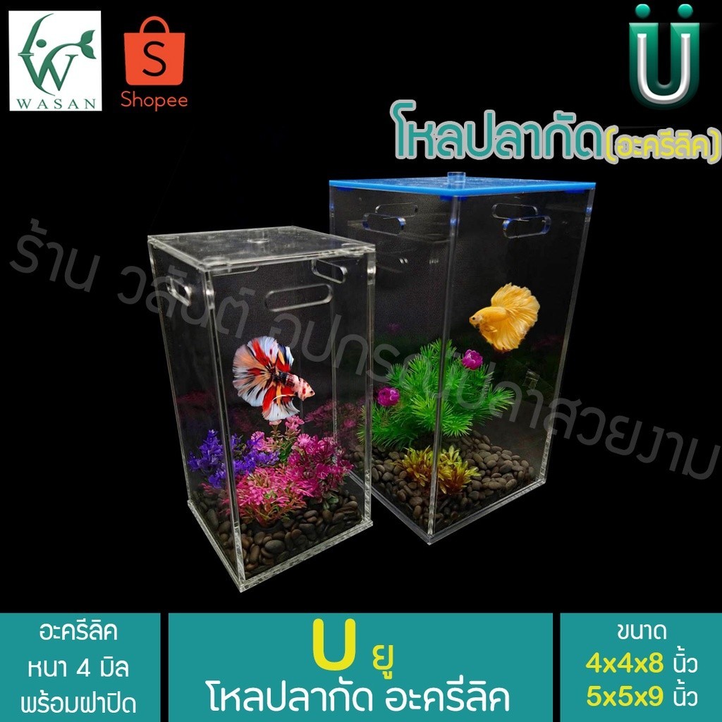 Acrylic Betta Fish Jar With Lid 4 Mm Thick Durable By Woon Beautiful ...