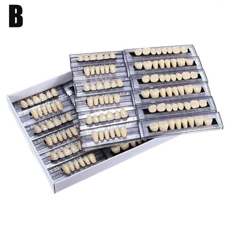 Acrylic Resin Denture Teeth Upper Lower Shade Tooth Model Dental ...