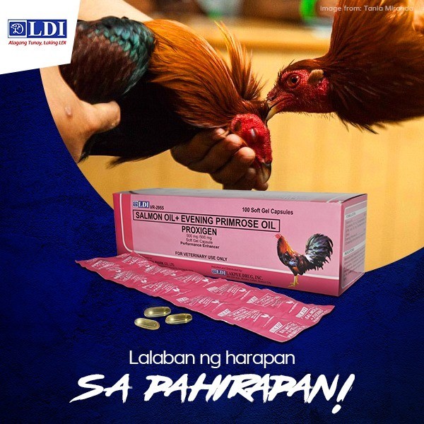 Proxigen Essential Fatty Acids 500mg for Gamefowl sold 10 capsules ...