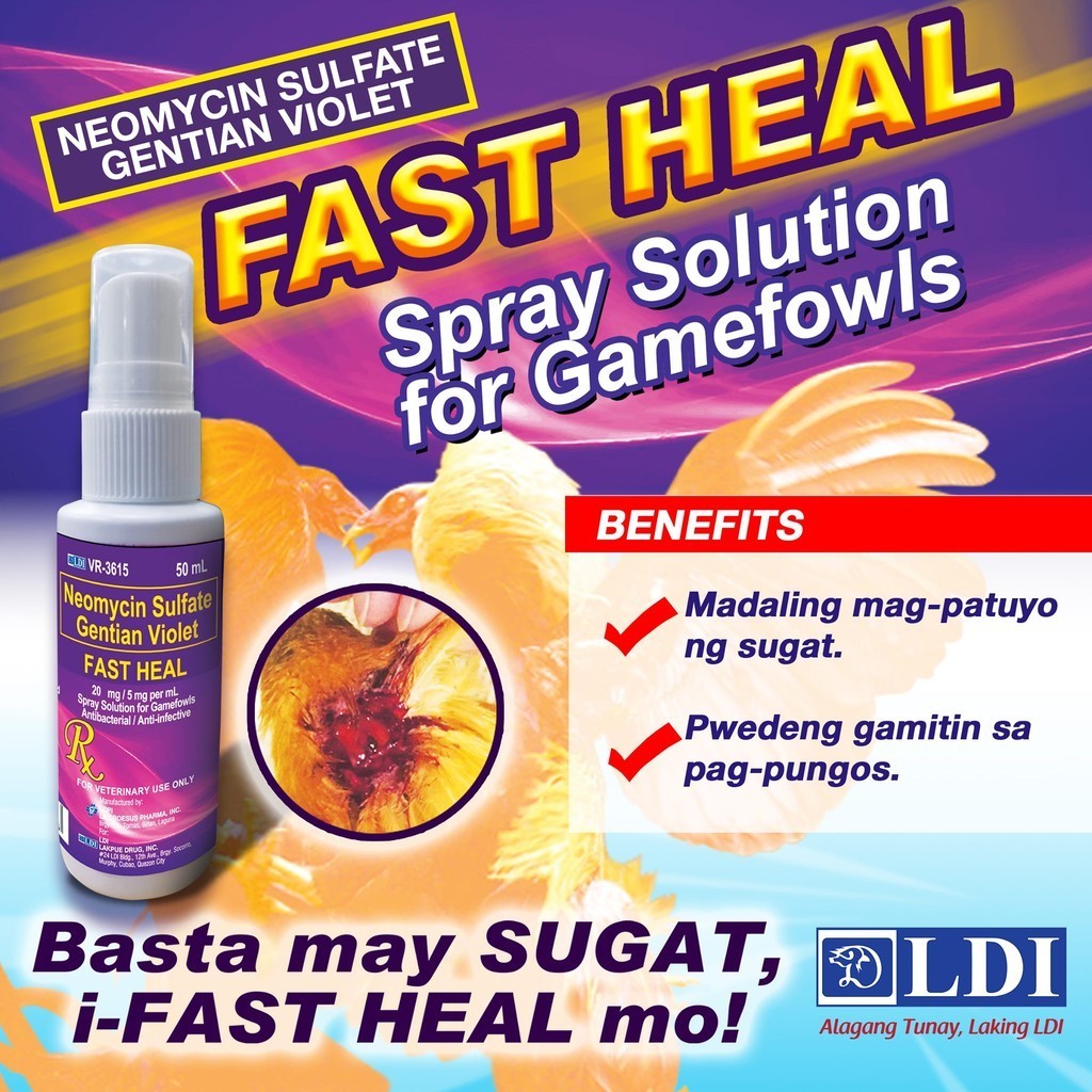 Fast Heal Wound Spray 50ml Spray Solution for Gamefolws para sa sugat ...