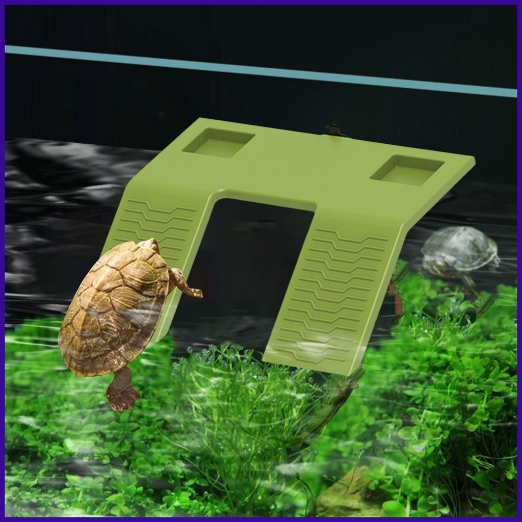 Turtle Basking Area Turtle Resting Ramp Small Turtle Basking Place ...