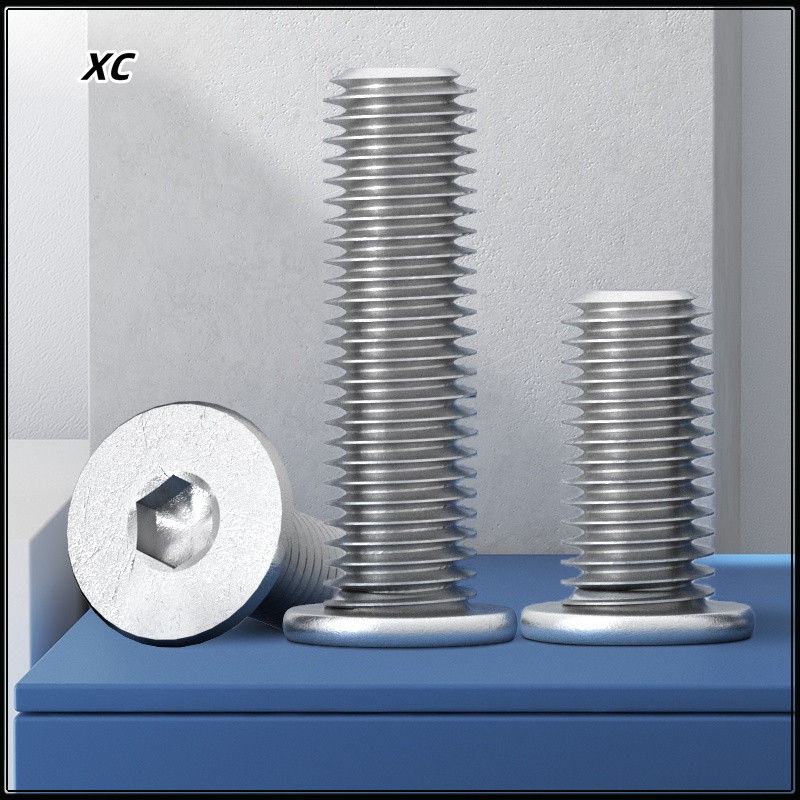 [Quick Shipment] SUS304 Flat Head Screw M5/M6/M8 CM Round Thin Head ...
