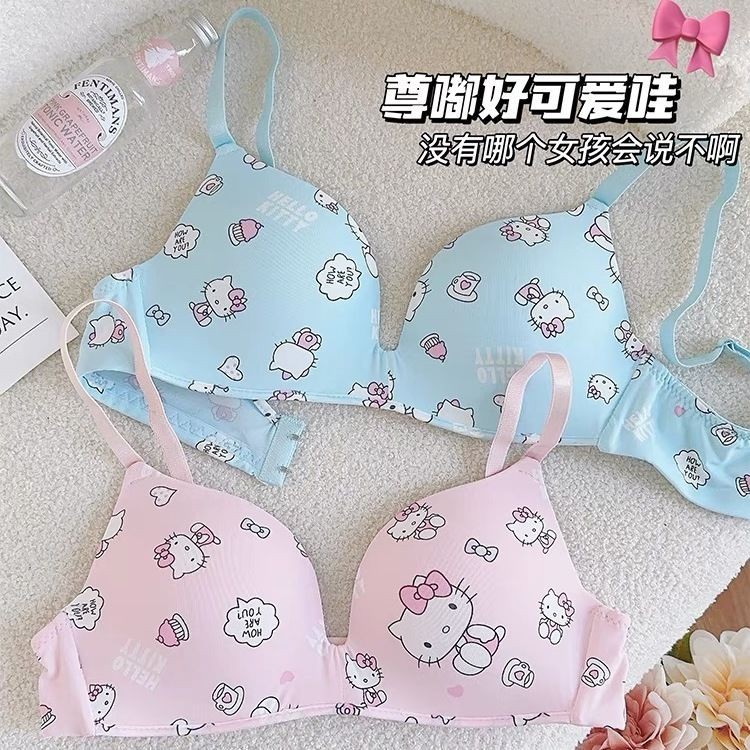 2 Pieces Set Hello Kitty Women Bras Panties Set for Teenage Girls Bra ...