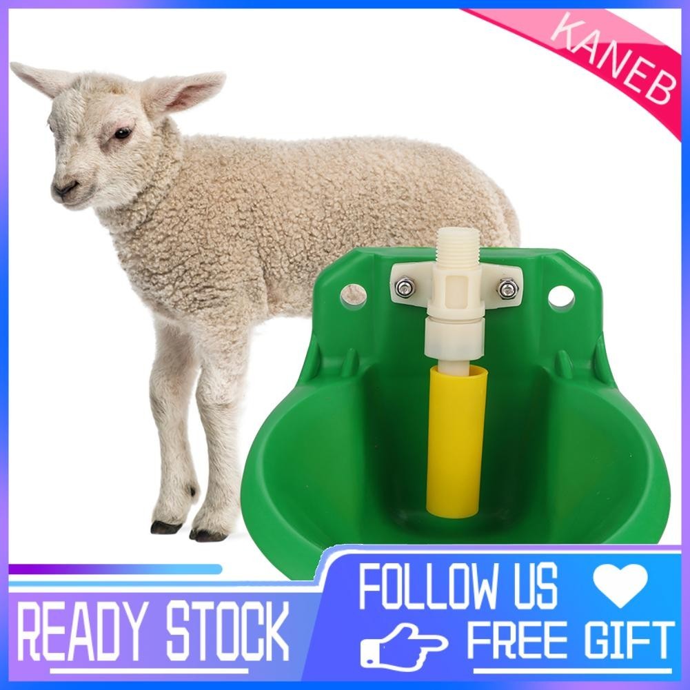 Kanebduk Practical Automatic Drinker Waterer For Sheep Pig Cattle ...