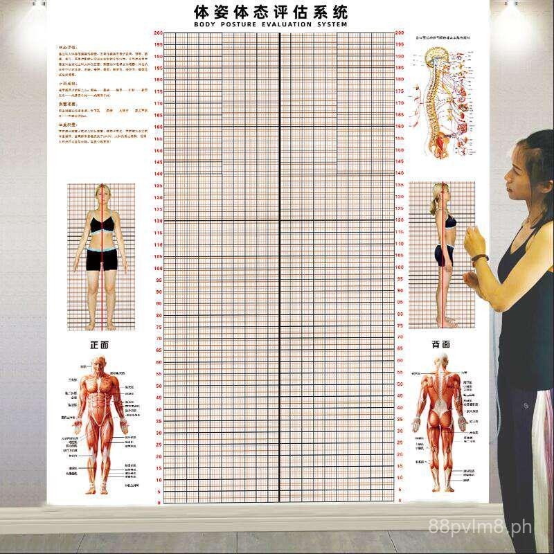 Posture Assessment Chart Wall Sticker Gym Fitness Grid Paper Yoga ...