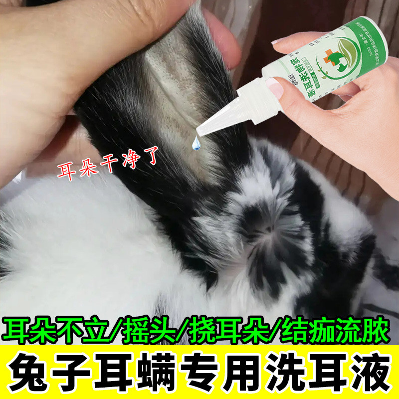 Rabbit Ear Mites Dedicated Ear Dropping Liquid Rabbit Ears Can't Stand ...