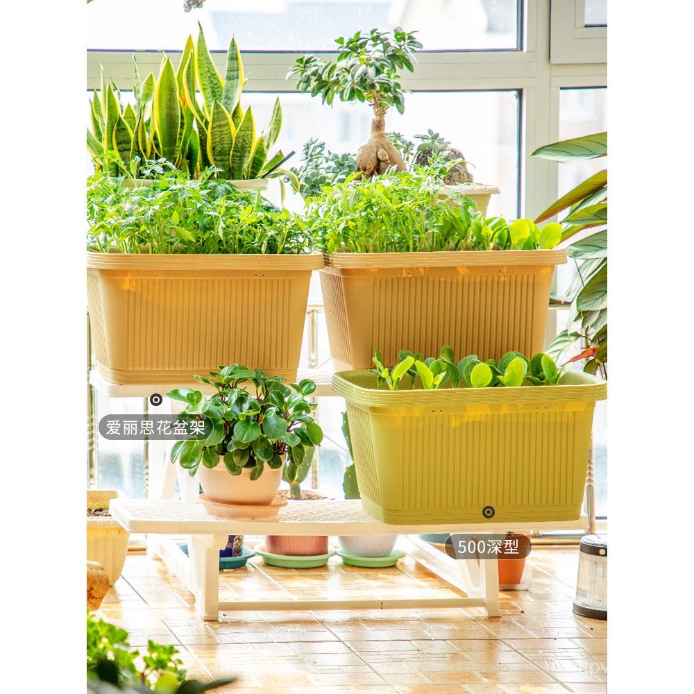 Alice Balcony Rooftop Vegetable Planting Box Artifact Long Extra Large ...