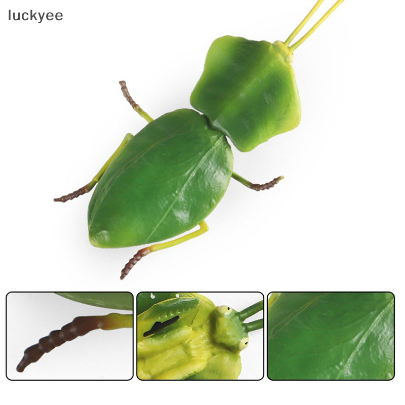 luckyet New Simulated Insect Wild Animals Figurine Mantis Spider ...