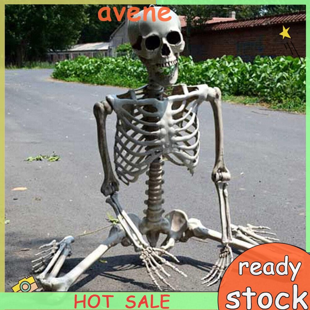 Full Size Fake Human Skull Bones Poseable Horror Halloween Party ...