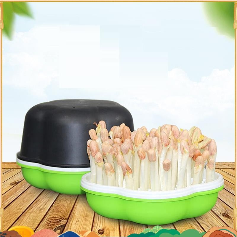 Bean Sprout Germination Pot Soilless Hydroponic Germination Pot Wheat ...