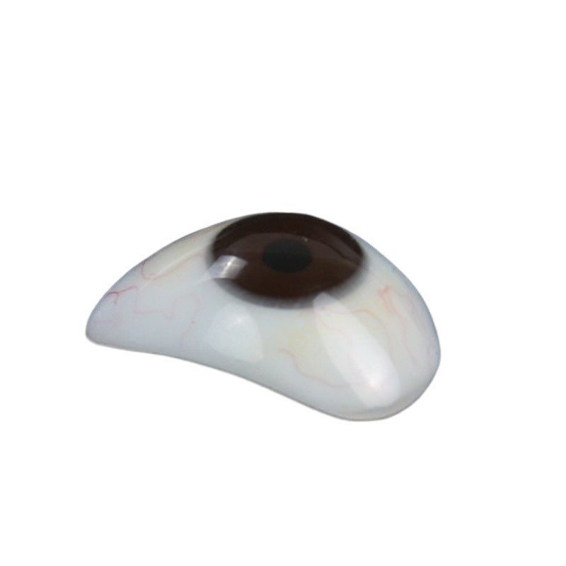 Ophthalmology Consumables Prosthetic Eye Artificial Eye Disabled Eye ...